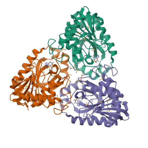 RCSB PDB - 4M1E: Crystal structure of purine nucleoside phosphorylase I ...