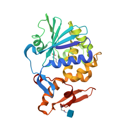 RCSB PDB - 4M5A: Crystal structure of the complex of Ribosome ...