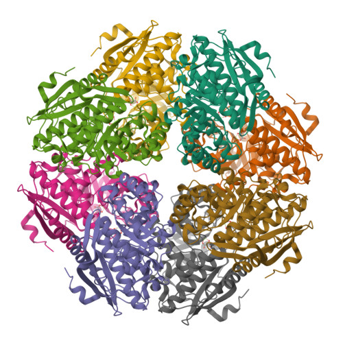 RCSB PDB - 4M6U: P. putida mandelate racemase co-crystallized with ...