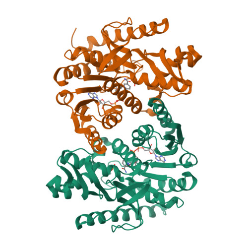 RCSB PDB - 4MDH: REFINED CRYSTAL STRUCTURE OF CYTOPLASMIC MALATE ...