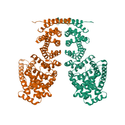 RCSB PDB - 4MFV: Crystal structure of human CTNNBL1(residues 33~563)