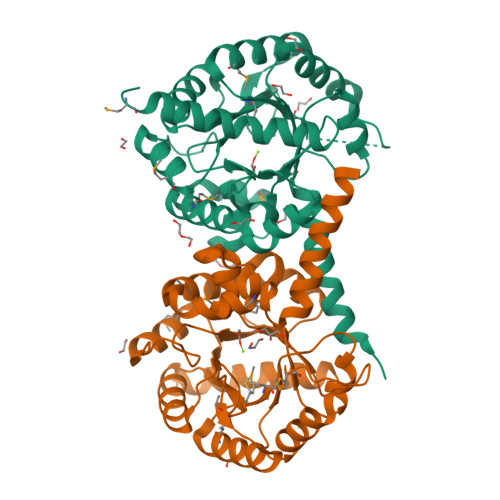 RCSB PDB - 4ML9: Crystal Structure of Uncharacterized TIM Barrel ...