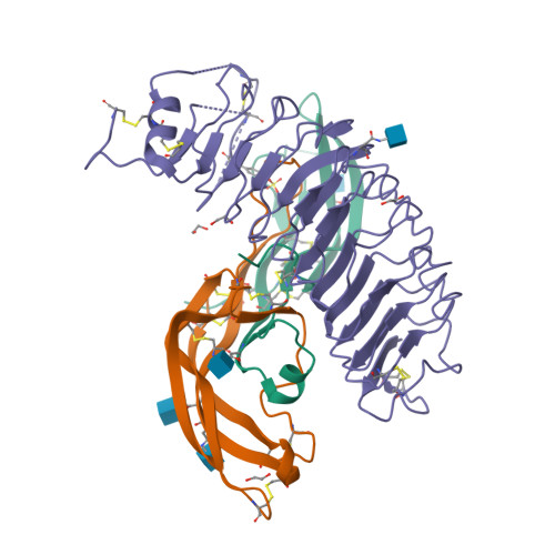 RCSB PDB - 4MQW: Structure of follicle-stimulating hormone in complex ...