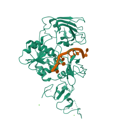 RCSB PDB - 4N0O: Complex structure of Arterivirus nonstructural protein ...