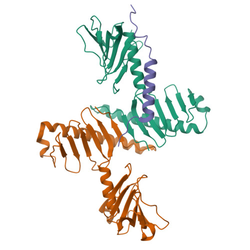 RCSB PDB - 4N7V: Crystal structure of human Plk4 cryptic polo box (CPB ...