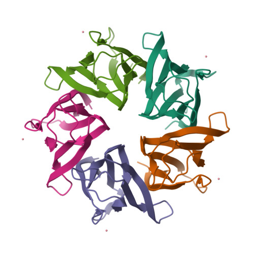RCSB PDB - 4N8M: Structural polymorphism in the N-terminal ...