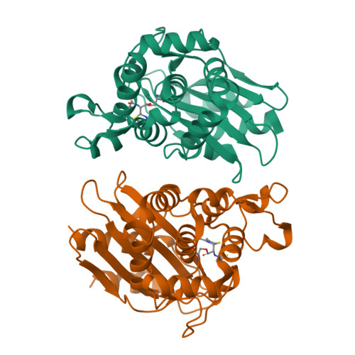 RCSB PDB - 4N9K: crystal structure of beta-lactamse PenP_E166S in ...