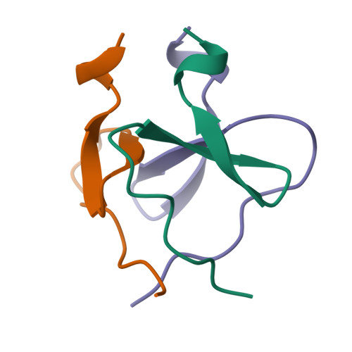 RCSB PDB - 4NCV: Foldon domain wild type N-conjugate