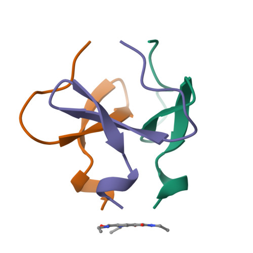 RCSB PDB - 4NCW: foldon domain wild type C-conjugate
