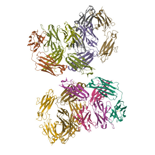 RCSB PDB - 4NHH: Structure of 2G12 IgG Dimer