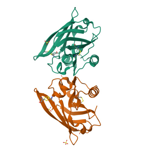 RCSB PDB - 4NLJ: Crystal structure of sheep beta-lactoglobulin (space ...