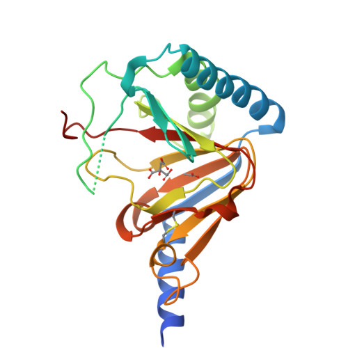 RCSB PDB - 4NRM: Crystal structure of human ALKBH5 in complex with ...