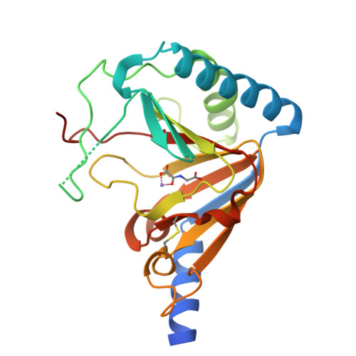 RCSB PDB - 4NRP: Crystal structure of human ALKBH5 in complex with N ...
