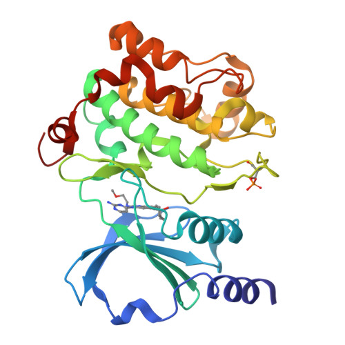 RCSB PDB - 4O0V: Back pocket flexibility provides group-II PAK ...
