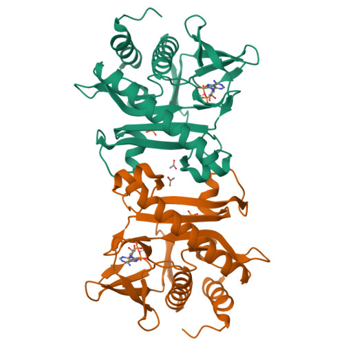 RCSB PDB - 4O7L: SAICAR synthetase (Type-2) in complex with ADP