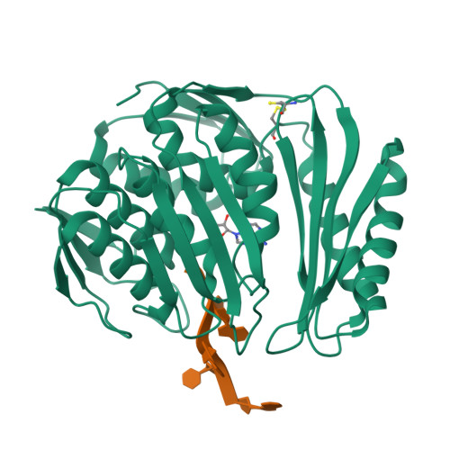 RCSB PDB - 4O8J: Crystal structure of RtcA, the RNA 3'-terminal ...