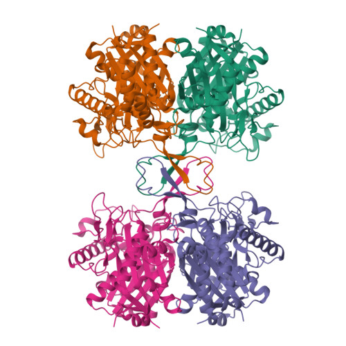 RCSB PDB - 4O9A: Crystal structure of Beta-ketothiolase (PhaA) from ...