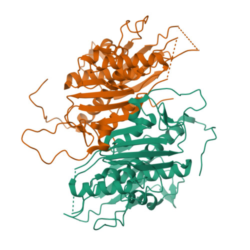 RCSB PDB - 4OB9: Crystal structure of chorismate synthase from ...