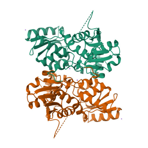 RCSB PDB - 4OFX: Crystal Structure of a Putative Cystathionine beta ...