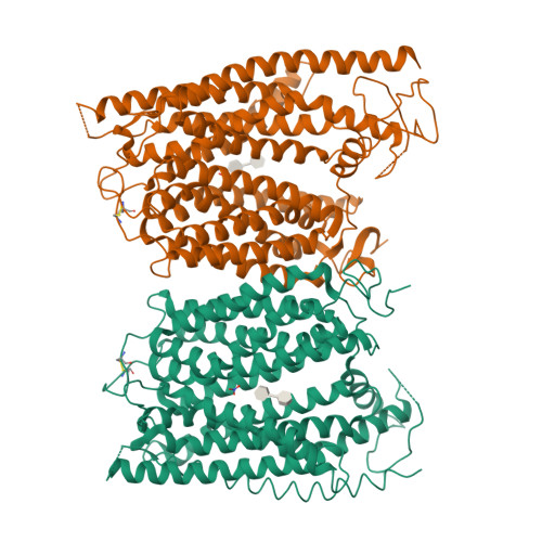 RCSB PDB - 4OH3: Crystal structure of a nitrate transporter