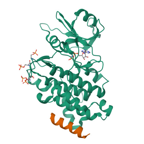 RCSB PDB - 4OH4: Crystal structure of BRI1 in complex with BKI1