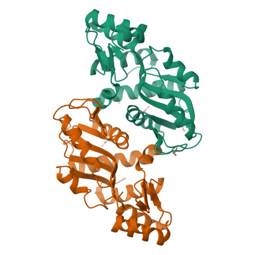 RCSB PDB - 4OHC: Crystal structure of orotate phosphoribosyltransferase ...