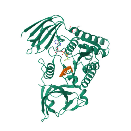RCSB PDB - 4OI1: Clp1 bound to ssRNA dinucleotide GC, ADP, AlF4-, and ...