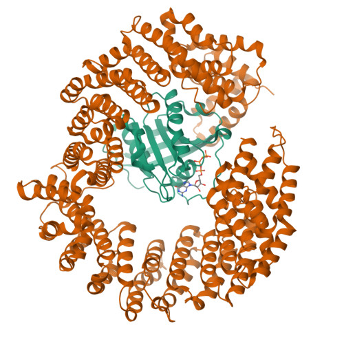 RCSB PDB - 4OL0: Crystal structure of transportin-SR2, a karyopherin ...