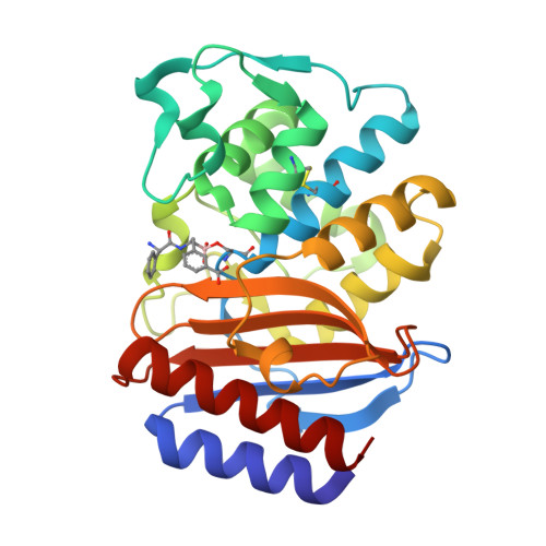 RCSB PDB - 4OQG: Crystal structure of TEM-1 beta-lactamase in complex ...