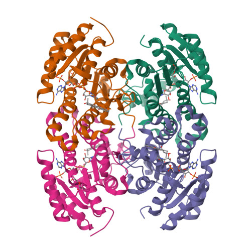 RCSB PDB - 4OSO: The crystal structure of landomycin C-6 ketoreductase ...