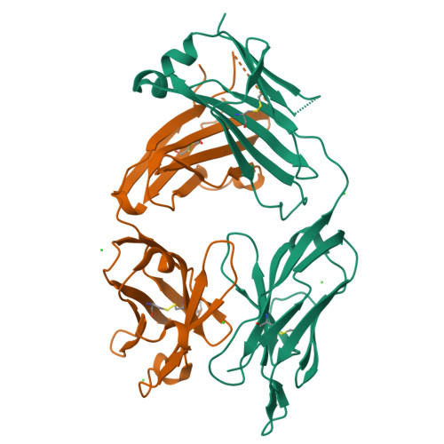 RCSB PDB - 4OTX: Structure of the anti-Francisella tularensis O-antigen ...