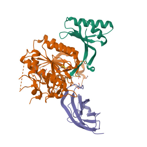 RCSB PDB - 4OV6: Crystal structure of PCSK9(53-451) with Adnectin