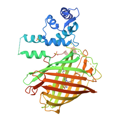 RCSB PDB - 4OY4: calcium-free CaMPARI v0.2