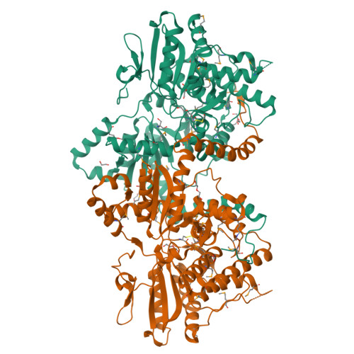 RCSB PDB - 4P37: Crystal structure of the Megavirus polyadenylate synthase