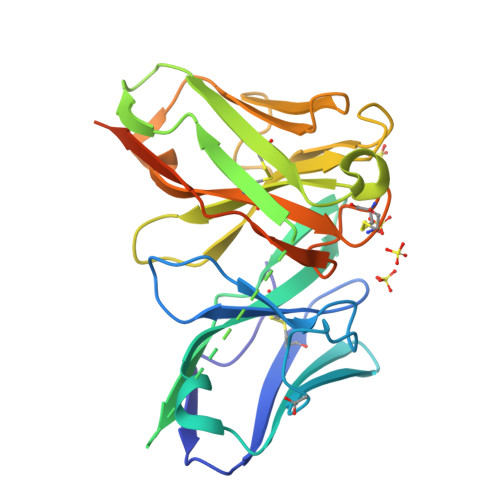 RCSB PDB - 4P49: The structure of a chicken anti-prostate specific ...