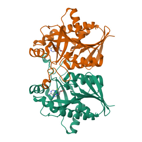 RCSB PDB - 4P54: Crystal Structure of the Helicobacter pylori MTAN ...