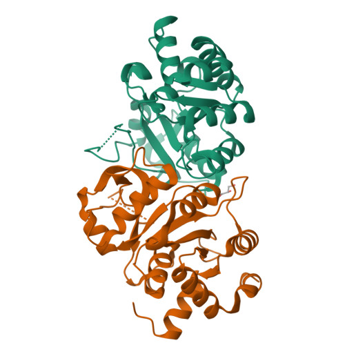 RCSB PDB - 4P77: Structure of ribB complexed with substrate Ru5P