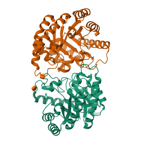 RCSB PDB - 4PGL: Crystal structure of engineered D-tagatose 3-epimerase ...