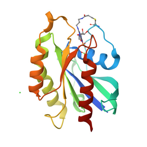 RCSB PDB - 4PHH: Crystal structure of Ypt7 covalently modified with GNP