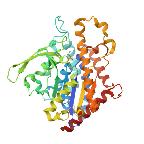 RCSB PDB - 4PKA: Crystal structure of patatin aged with ...