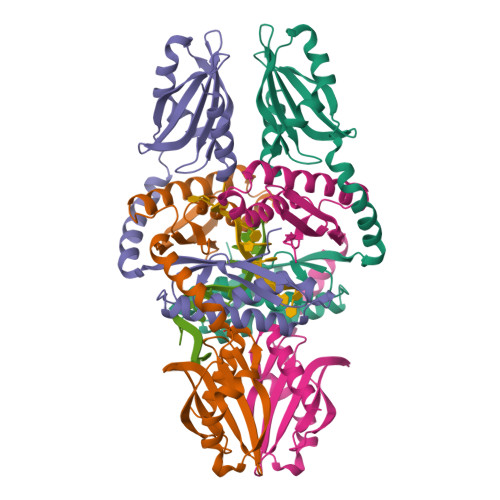 RCSB PDB - 4PSO: Crystal structure of apeThermo-DBP-RP2 bound to ssDNA dT10