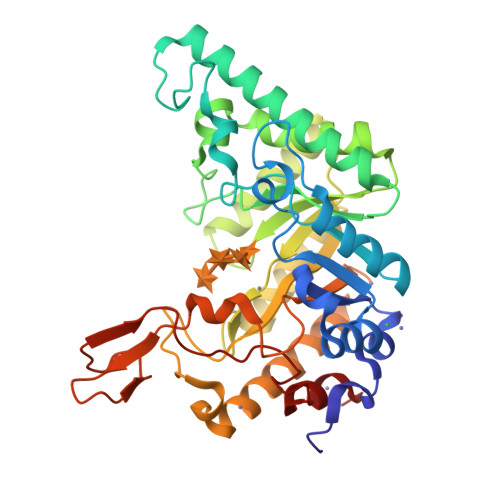 RCSB PDB - 4PUE: Extracellulr Xylanase from Geobacillus ...