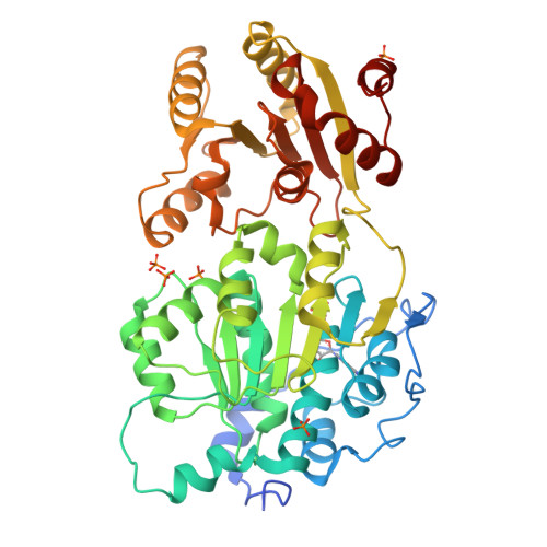 RCSB PDB - 4PXA: DEAD-box RNA helicase DDX3X Cancer-associated mutant D354V
