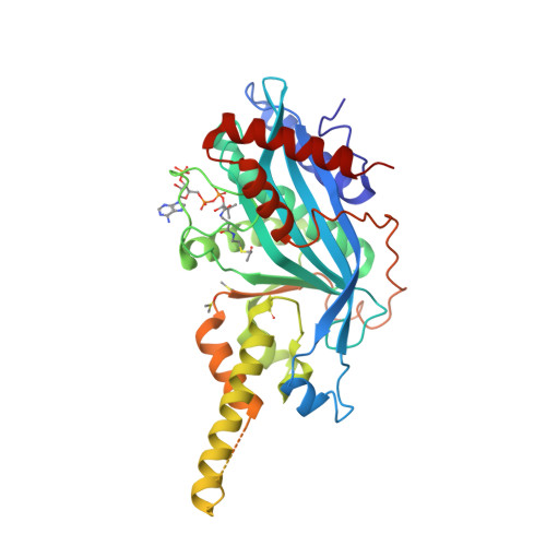 RCSB PDB - 4PZT: Crystal structure of p300 histone acetyltransferase ...