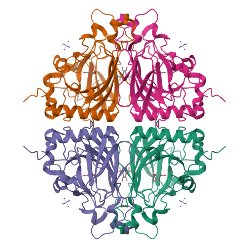 RCSB PDB - 4Q0S: Crystal structure of Acinetobacter sp. DL28 L-ribose ...