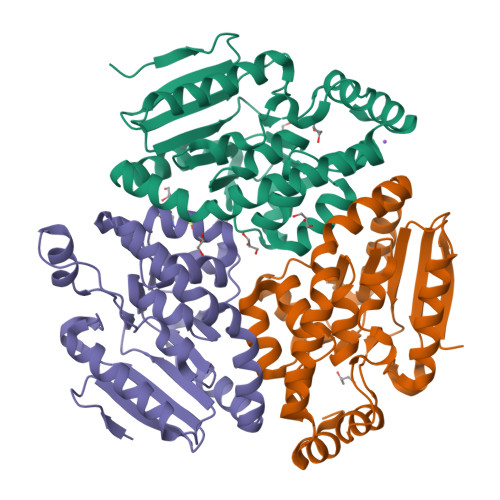 RCSB PDB - 4Q1H: Structure and mechanism of a dehydratase/decarboxylase ...