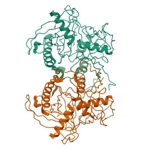 RCSB PDB - 4Q2H: Crystal structure of probable proline racemase from ...