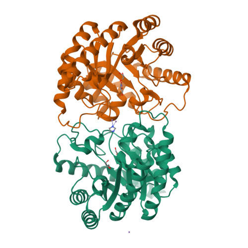 RCSB PDB - 4Q7I: Crystal structure of engineered thermostable D ...