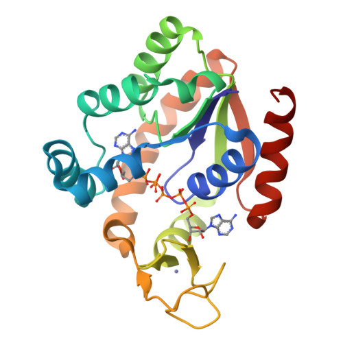 RCSB PDB - 4QBF: Crystal structure of a stable adenylate kinase variant ...