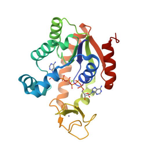 RCSB PDB - 4QBG: Crystal structure of a stable adenylate kinase variant ...